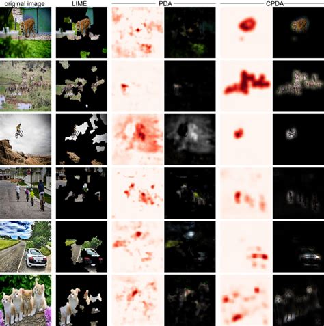 Explanations Created By Model Agnostic Methods Download Scientific