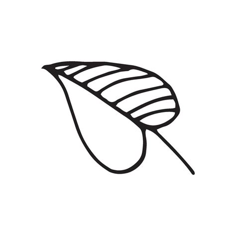 Cute Single Hand Drawn Floral Elements Doodle Illustration For Wedding