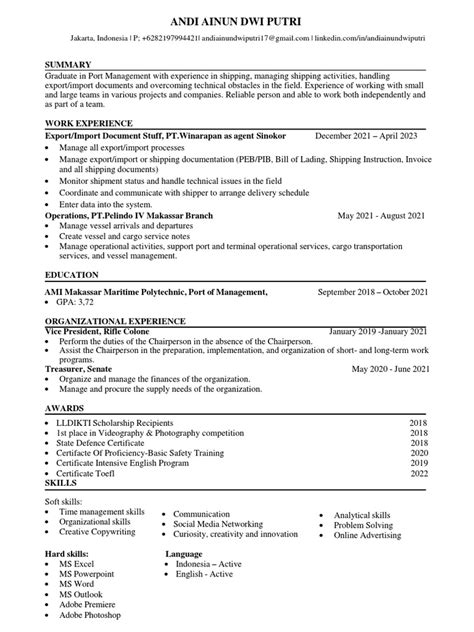 Cv Andi Ainun Dwi Putri Pdf