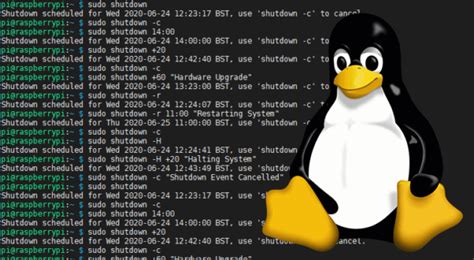 How To Shut Down Ubuntu Using The Terminal Pi My Life Up