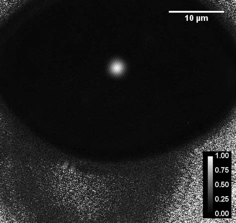 Magnitude Of The Complex Degree Of Coherence Jj In Pulsed Operation Download Scientific Diagram