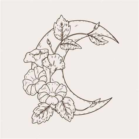 Free Vector Hand Drawn Crescent Moon Drawing Illustration