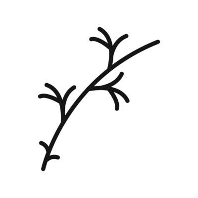 Tree Branch Outline Vector Art Icons And Graphics For Free Download