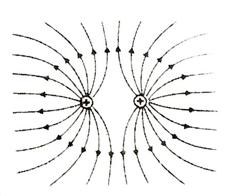 Which Among The Curves Shown In Fig Cannot Possibly Represent Electrostatic Field Lines