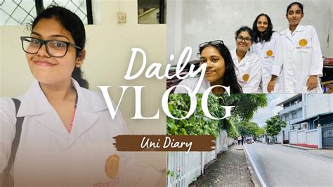 වැස්ස දවසක කැලණිය විශ්ව විද්‍යාලය විද්‍යා පීඨය A Day In University Of Kelaniya Faculty Of