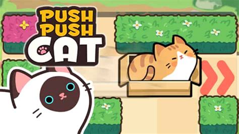 push push cat 🕹️ juega en 1001juegos