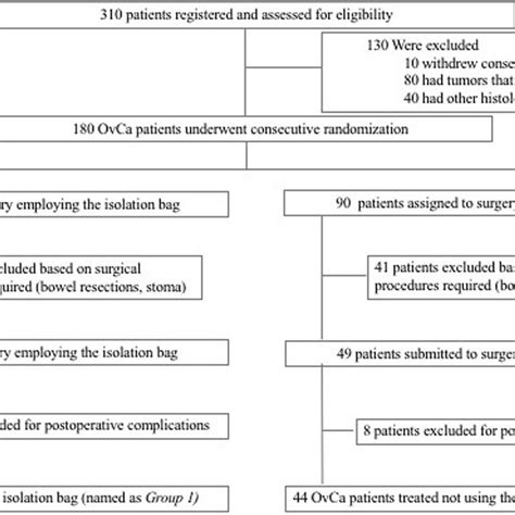 Flow Chart Enrolment Randomization And Treatment Download