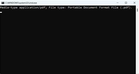 Determine The File Type Documentation