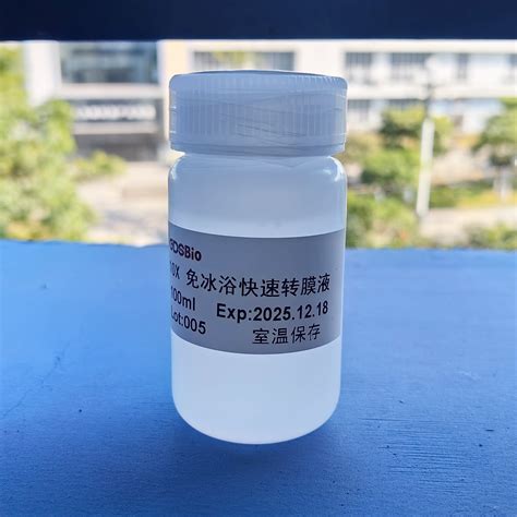 10x Ice Free Fast Transfer Buffer Gdsbio 10x Ice Free Fast Transfer Buffer Gdsbio