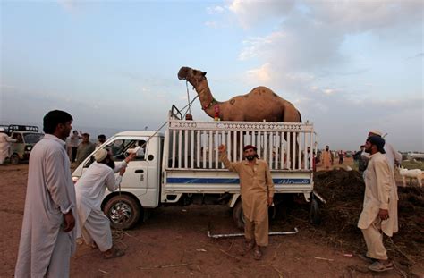 Eid Al Adha What You Need To Know About The Muslim ‘festival Of