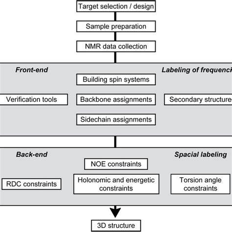 Conventional Stages In Protein Structure Determination By Nmr After Download Scientific