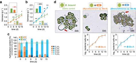 Physiological Effect Of The Individual Bacterial Isolates On The Download Scientific Diagram