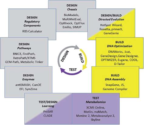 Selected Bioinformatics Tools And Associated Tasks For The