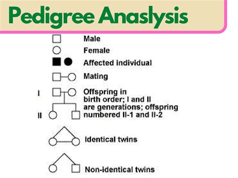 Solution Pedigree Analysis Chart Studypool