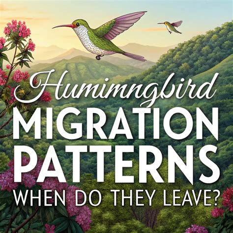 Hummingbird Migration Patterns When Do They Leave Chirping Hearts