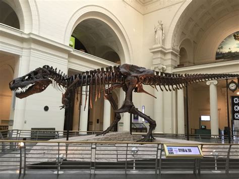 Pin By Jason Rosco On Fossil Mounts Field Museum Field Museum