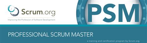Professional Scrum Master