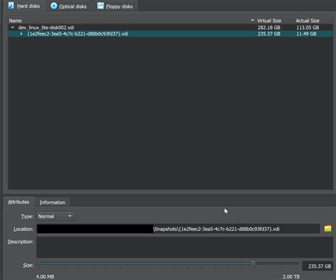 Virtual Machine Disk Size Issue In Linux Lite Running In VirtualBox