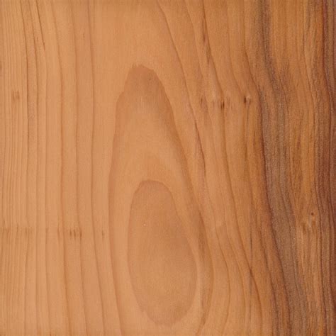 European Yew The Wood Database Lumber Identification Softwood
