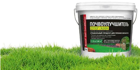 Почвоулучшители: 5 причин начать их использовать | AgroMarket интернет ...