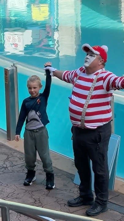 Bravo 👏🏻 So Cute 🥰 Tom Mime Seaworld Seaworldmime Funny Tomthemime