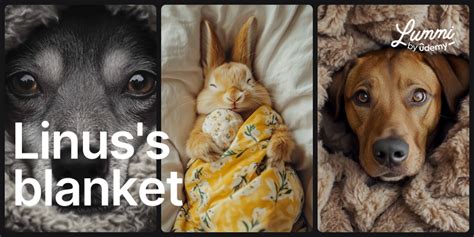 Linuss Blanket Images — Free Hd Download On Lummi