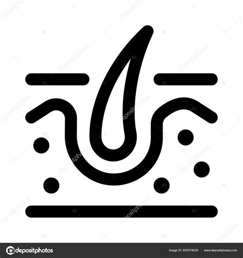 Dermis Adalah Lapisan Kulit Yang Terletak Bawah Epidermis Dan Atas