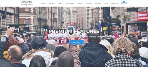 15 Best Free Parallax Wordpress Themes For 2023 Alley Themes