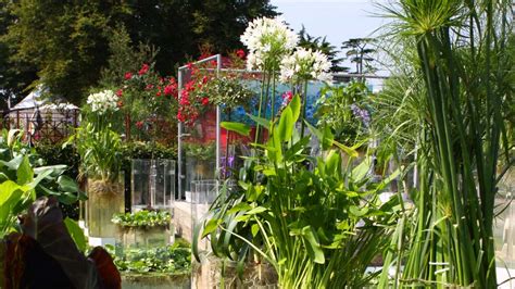 Bbc News In Pictures Naked Garden Wins At Hampton Court