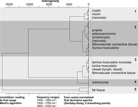 Dendrogram Produced By Agglomerative Hierarchical Clustering Hca Of Download Scientific