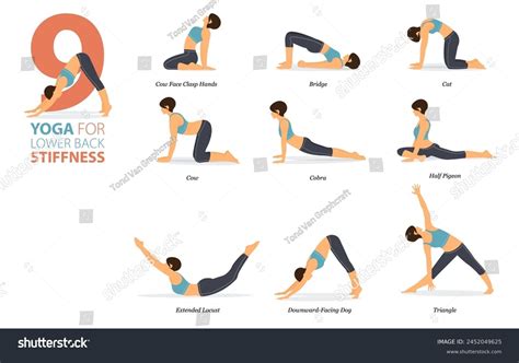 인포그래픽 9 요가는 플랫 디자인에서 등 스톡 벡터로열티 프리 2452049625 Shutterstock