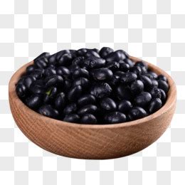 黑豆图片素材 免费黑豆PNG设计图片大全 图精灵