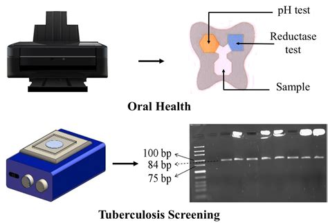 Research Microfluidics And Biological Physics Lab