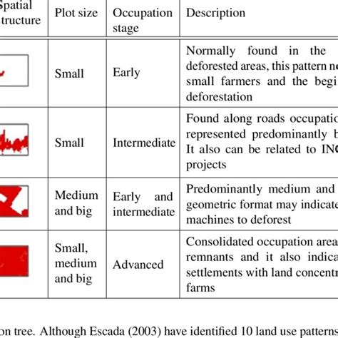 Deforestation Pattern Typology Download Table