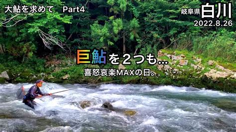 鮎釣り白川岐阜県2022 8 26怪我シーン有りモザイク処理済大鮎を求めてPart4友釣り 釣り動画