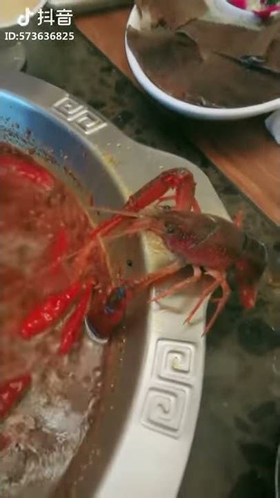 🦀خرچنگ زنده از داخل قابلمه در حال جوشیدن گریخت 🔺ویدئویی که لحظه فرار این جانور را ثبت کرده است