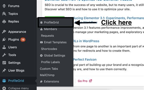 How To Add Custom Fields In Groups On A Wordpress Website