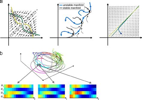 interpretation of trained rnns computational dynamics a different