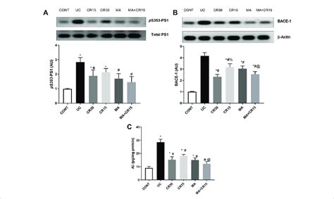 Effect Of Mirabegron And Or Carvedilol On Colon Protein Download Scientific Diagram