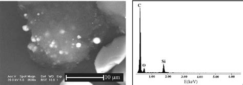 Sem Image And Electron Diffraction Spectroscopy Eds Patterns Of