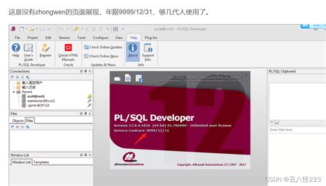 Plsql Developer下载与安装plsql Developer下载 Csdn博客