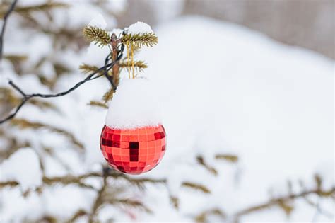 빨간 크리스마스 싸구려가 야외의 눈 덮인 전나무 가지에 매달려 있습니다 축제 거리 장식 눈 덮인 스프루스 나뭇가지에 빨간 공이