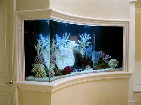 Custom Freshwater Fish Tanks
