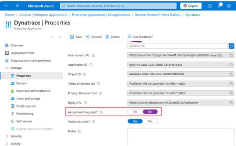 Configure Pre Deployment For Azure Native Dynatrace Service Azure