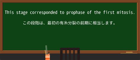 【英単語】prophaseを徹底解説！意味、使い方、例文、読み方 おもしろい英文法