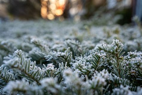 Proxmox Firewall Layers In Simple Terms IT