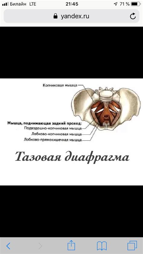 Анатомия - Home | Facebook