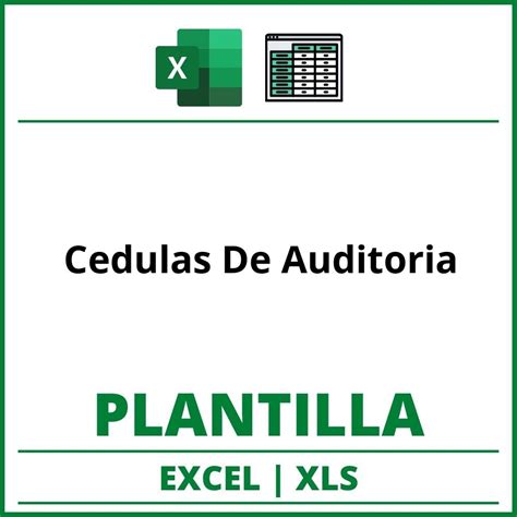 Formato De Cedulas De Auditoria Excel Xls