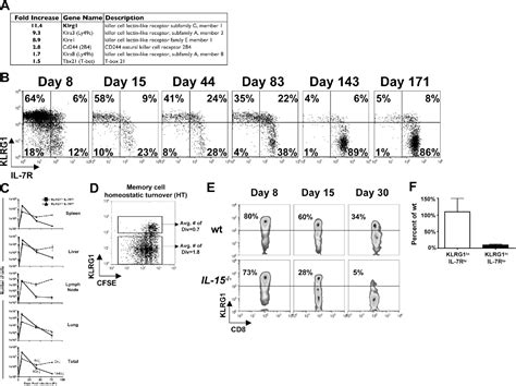 Figure 1 From Inflammation Directs Memory Precursor And Short Lived