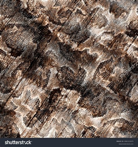 texture python 59 112 images photos et images vectorielles de stock